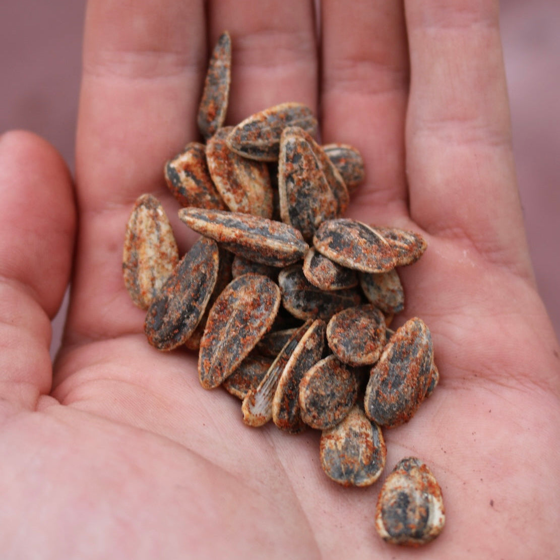Spicy Maple Madness – Chip's Seeds